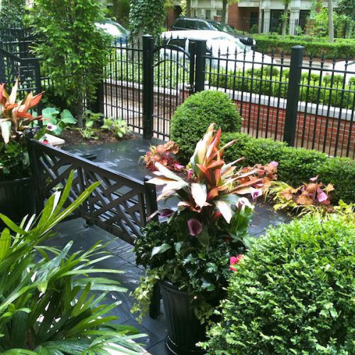 Chicago Landscaping & Green Rooftop Portfolio - Botanical Concepts Chicago
